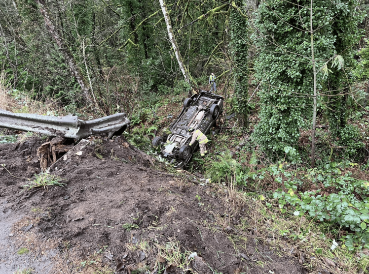 Tree Nearly Falls On Deputy Rescuing Motorist After Crash