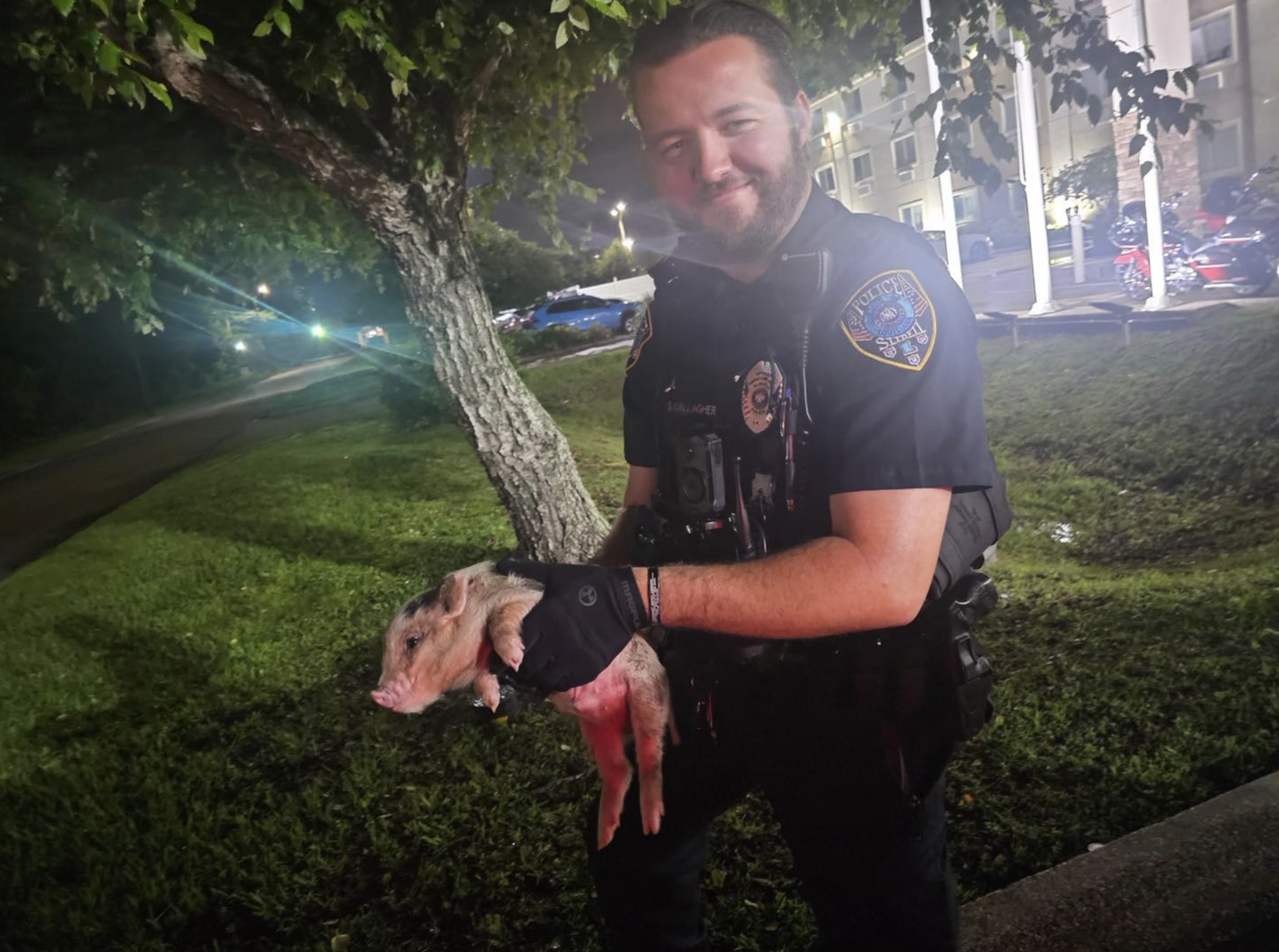 Abandoned Piglet Leads Police On Pursuit Through Louisiana Hotel