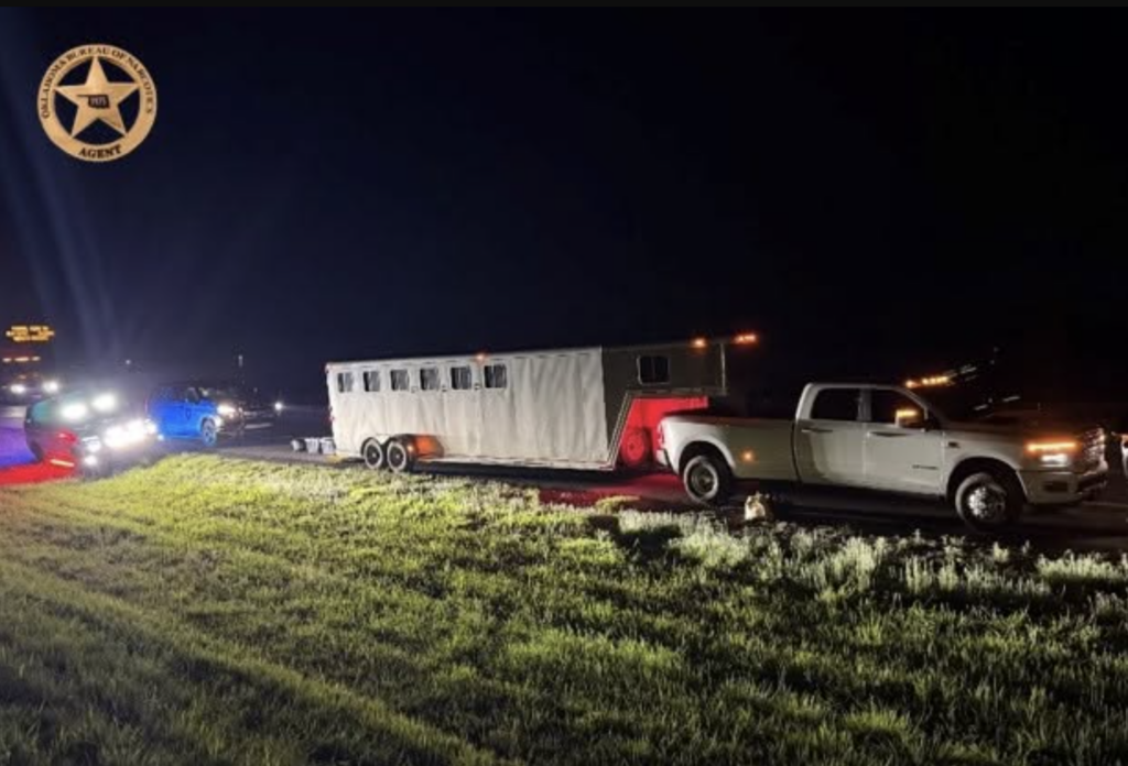 6 Thoroughbred Horses Used As Cover For Cocaine Trafficking Rescued In ...