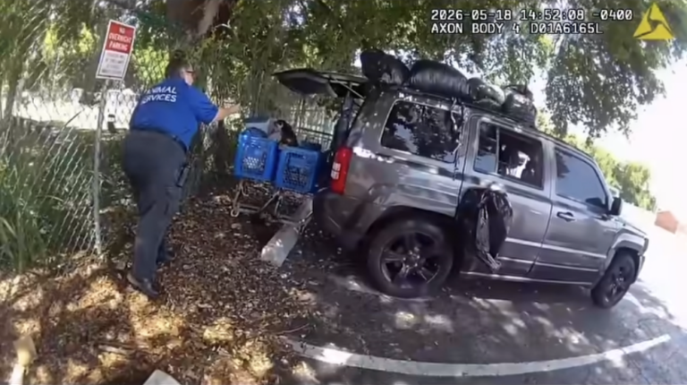 Florida Police Rescue 24 Dogs From Hot Car